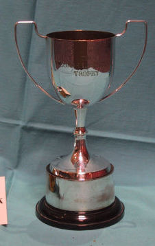 Trophies – National Association of Wine and Beer Makers